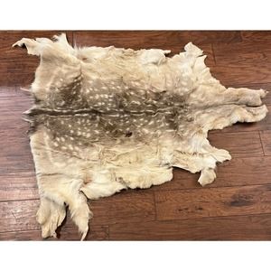 Unbranded | Other | Taxidermy Tanned Large Fallow Deer Skin Rustic ...